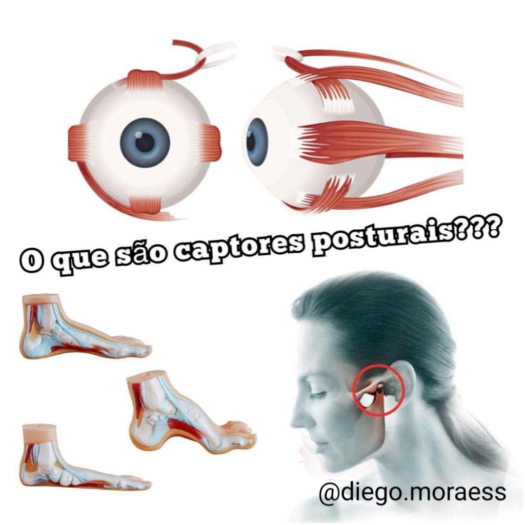 Captor Ocular – Fisioteraloucos
